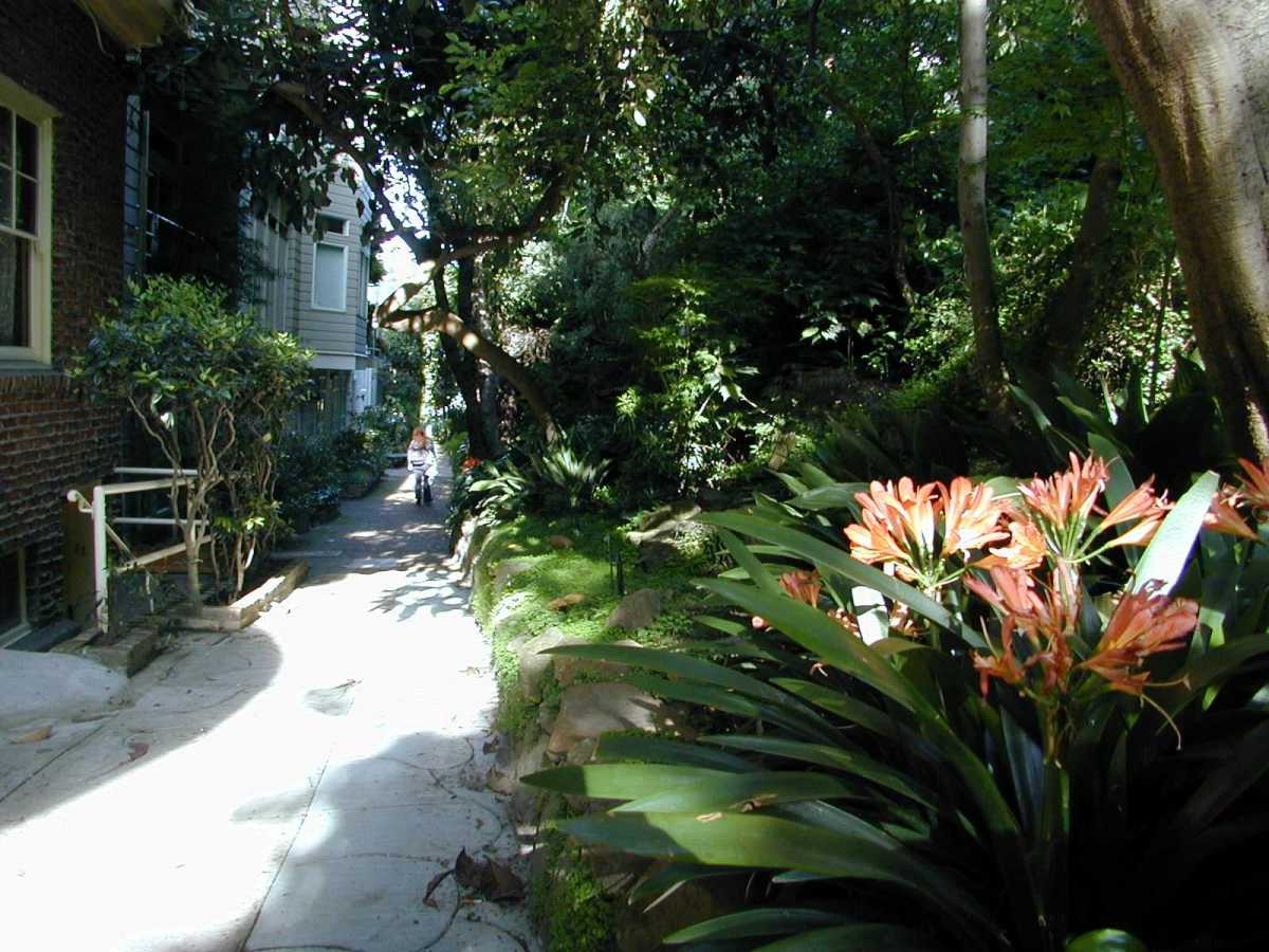 Barbary Lane: The Most Famous SF Street That Doesn’t Exist | the Front ...